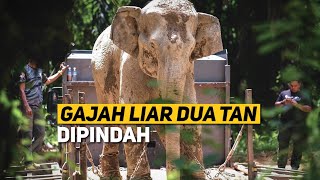 BERNAMA - Bekas penyampai radio Ismahalil bebas tuduhan edar dadah