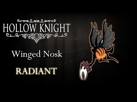 Steam Community :: Video :: Winged Nosk [Radiant] Hollow Knight