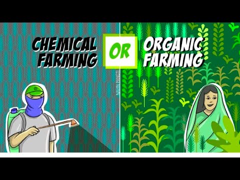 Organic farming or chemical farming?