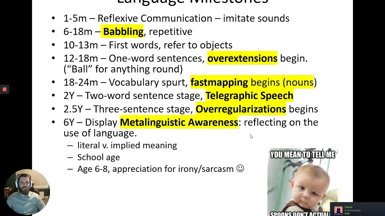 AP Psychology - Unit 5 - Language & Thinking