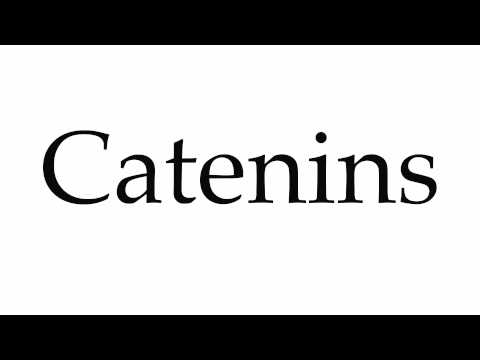 How to Pronounce Catenins