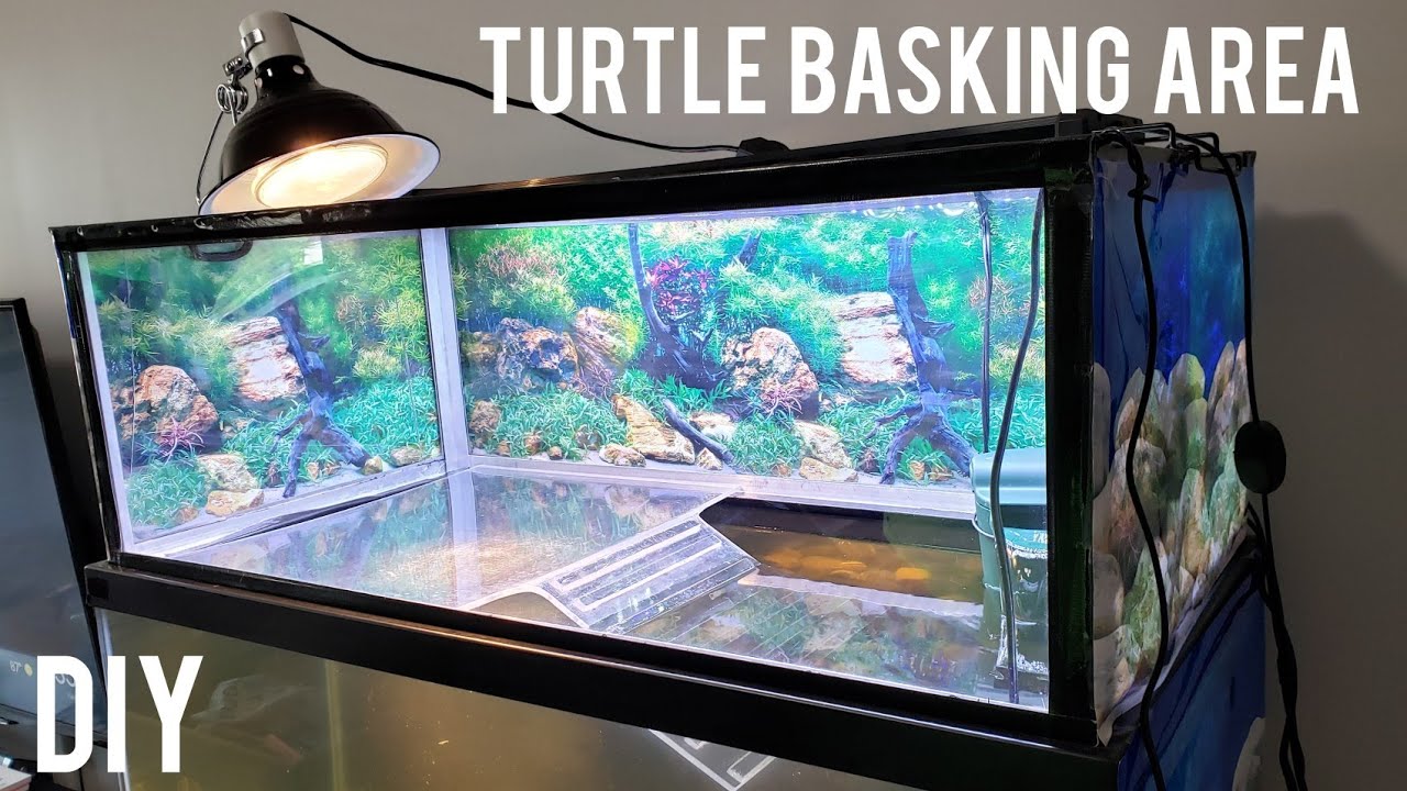 Making an Above Tank Turtle Basking Platform | Using Acrylic & Aluminum