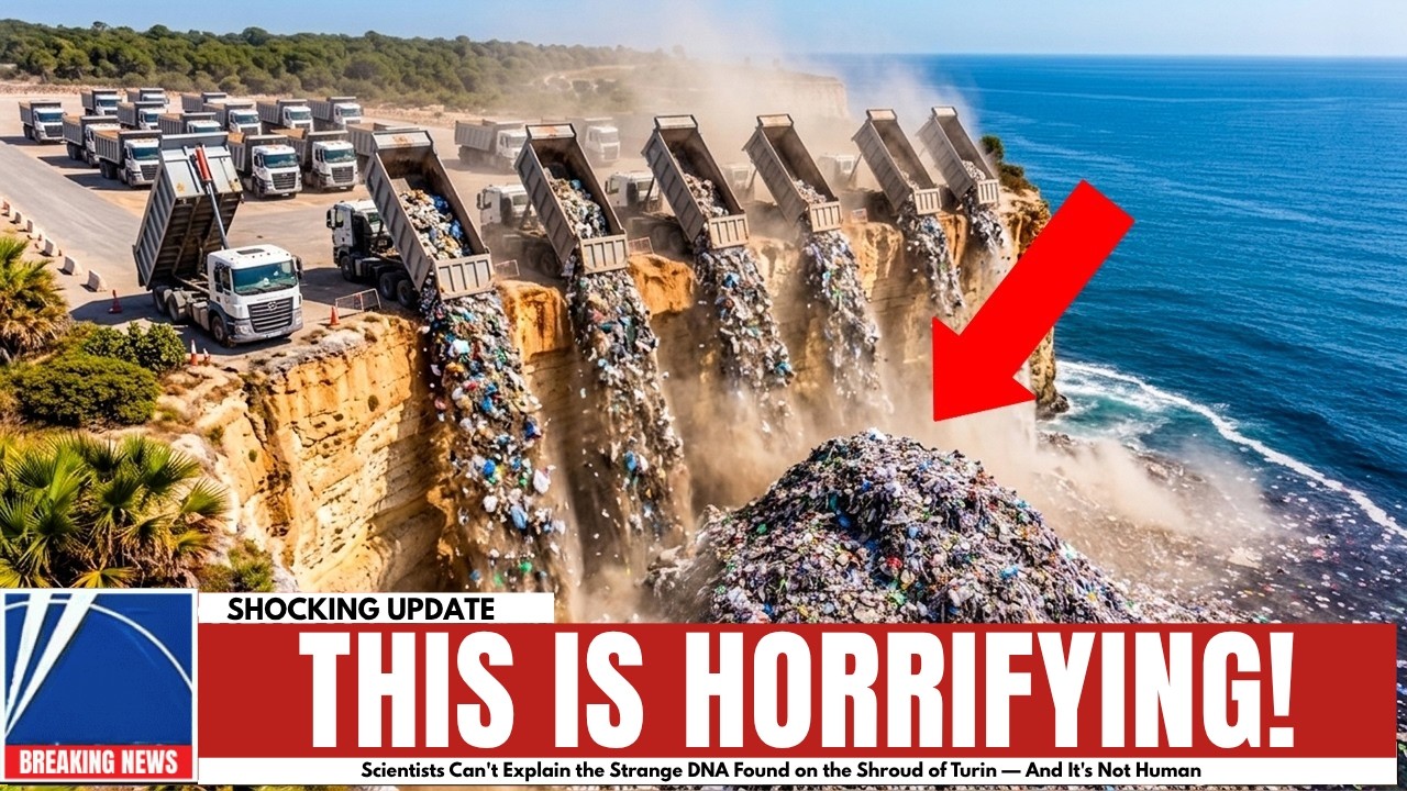 Florida Dumped Half a Million Tons of Oyster Shells Offshore… Look What Formed