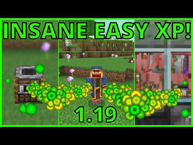 5 easiest XP farms to build in Minecraft 1.19 update