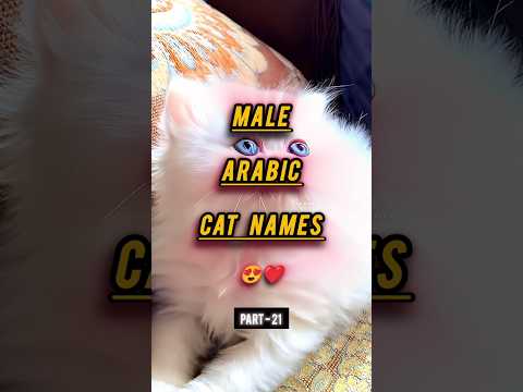 Male Arabic Cat Names Part-21πβ€οΈ #shorts #islam