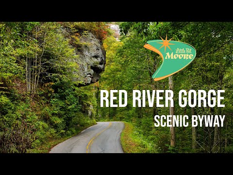 Red River Gorge Scenic Byway: Best Scenic Drive In Kentucky