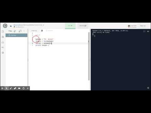 Video Lesson - Primitives vs. Objects in Python