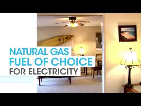Natural Gas' Unique Attributes Help Meet Continuous Demand