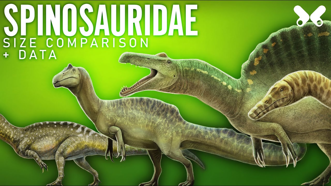 SPINOSAURS . Dinosaur size comparison and data. Paleoart