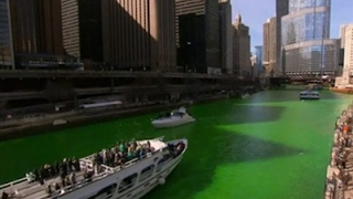 Irish Week and Gaelic logic