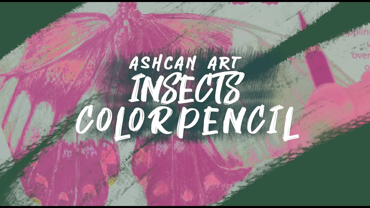 Master Insect Illustration with Color Pencils