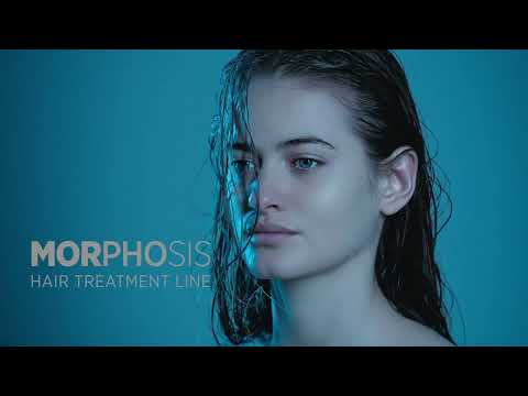 NEW MORPHOSIS RESTRUCTURE (ENG)