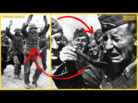 Unseen Frontlines: Rare WWII Footage Resurfacing