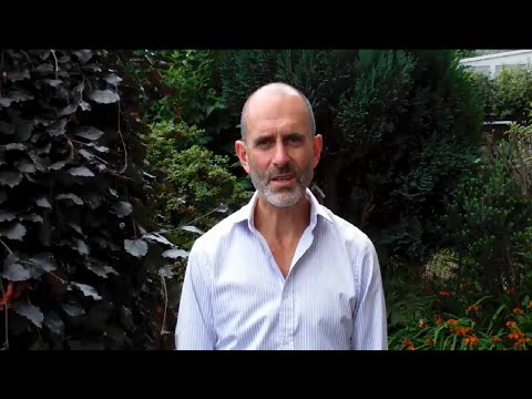 What is Holistic Health? ~ The benefits of the holistic approach to optimize your life