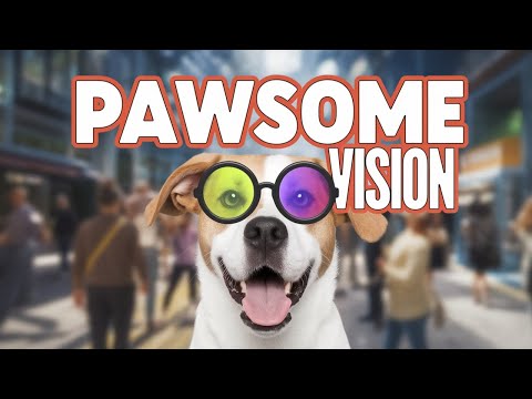 The Surprising TRUTH About Dog Color Blindness