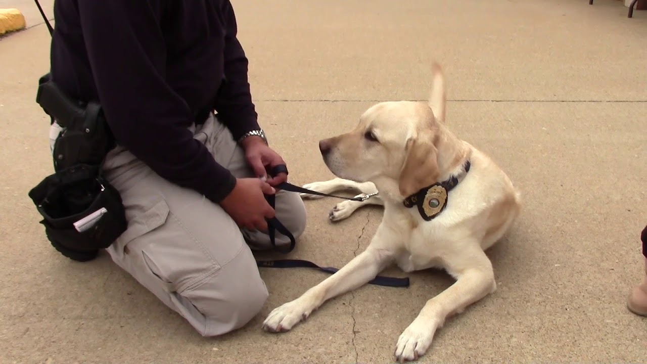 Topeka Fire Department Full Promo Video