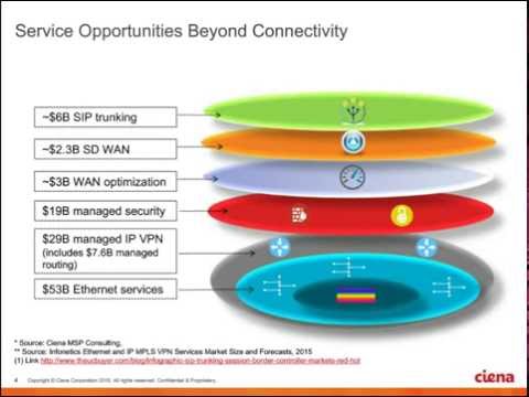 Customer Premise Equipment: Small (and Smart) is Beautiful