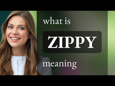 Zippy | meaning of ZIPPY