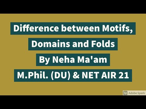 Differences between Motifs, domains and folds | Biochemistry