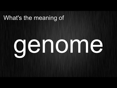 What's the meaning of "genome", How to pronounce genome?