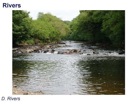 Northern Ireland Water Framework Directive Statistics Report 2021 ...