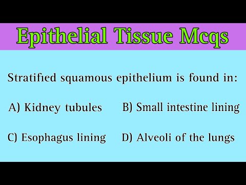 Epithelial Tissue Mcq | epithelial tissue mcq class 11