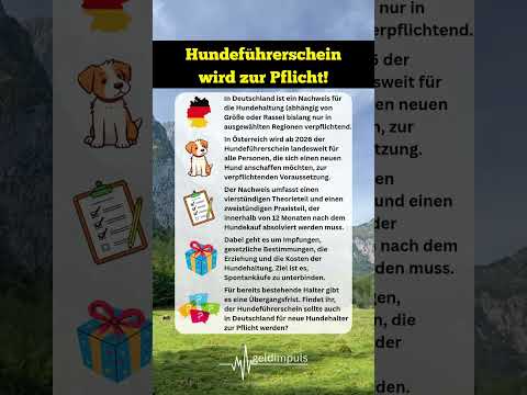 Achtung, Hundehalter: Der Hundeführerschein wird Pflicht! 🐶✅ #hunde