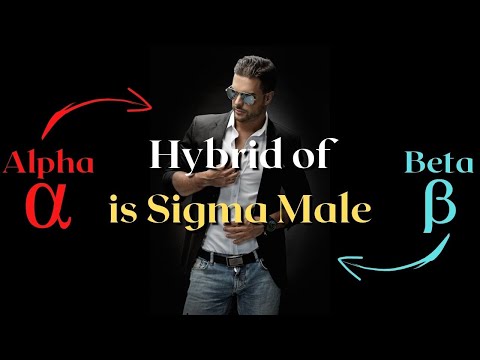 The Sigma Male: The Perfect Blend of Alpha and Beta Traits