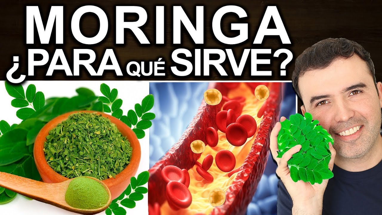 Moringa Tea - How to Make It, Benefits, Dosage and Contraindications