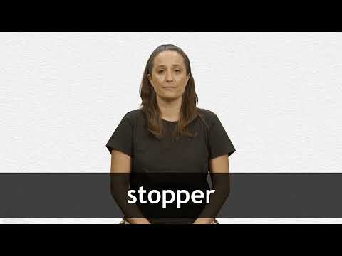 English Translation of “STOPPER” | Collins French-English Dictionary