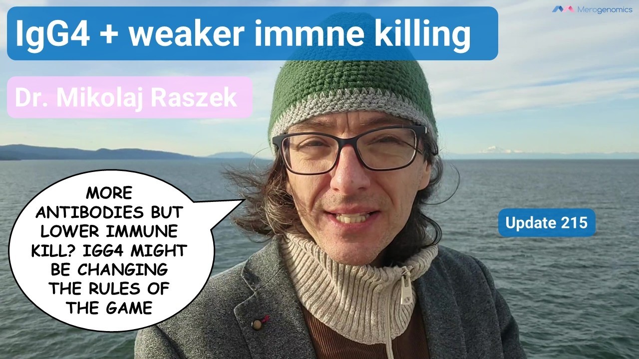 Repeat vaccination = weaker immune killing: The IgG4 problem