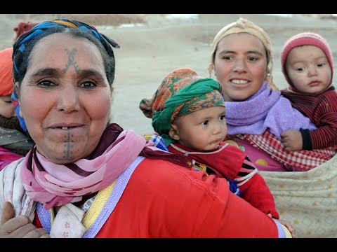 DNA of: Moroccans/Amazigh/Berber (case closed)