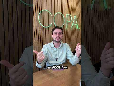 Managing Inter-Company Payments