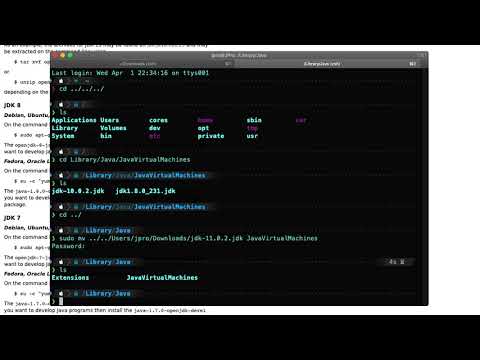 Installing Java11 Through OpenJDK on macOS