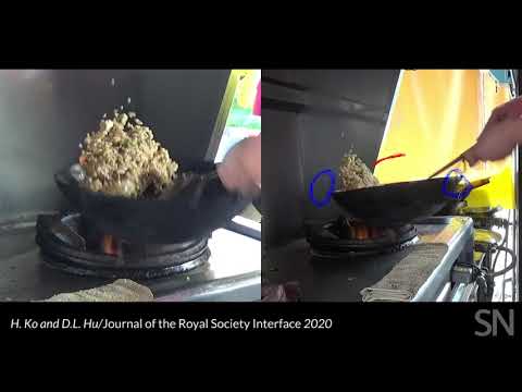 How to Make Stir Fry - Wok for Cooking - Food Physics