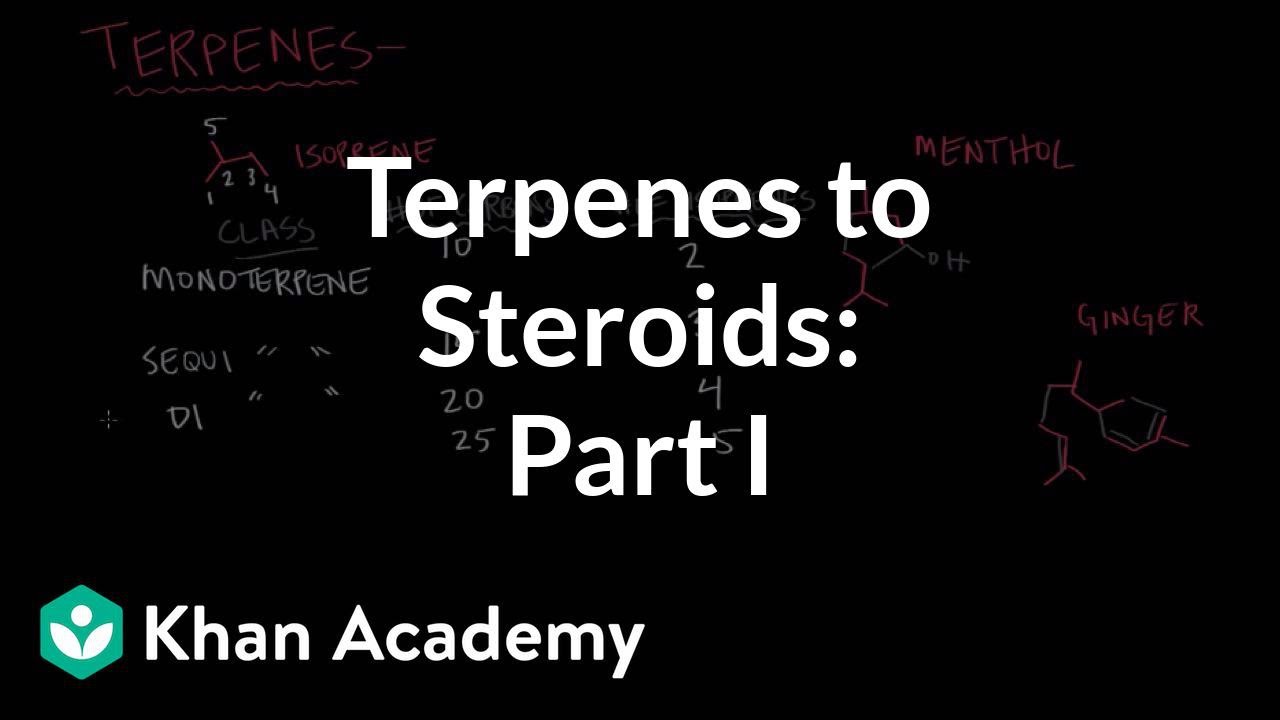 From terpenes to steroids part 1: Terpenes | Endocrine system physiology | NCLEX-RN | Khan Academy