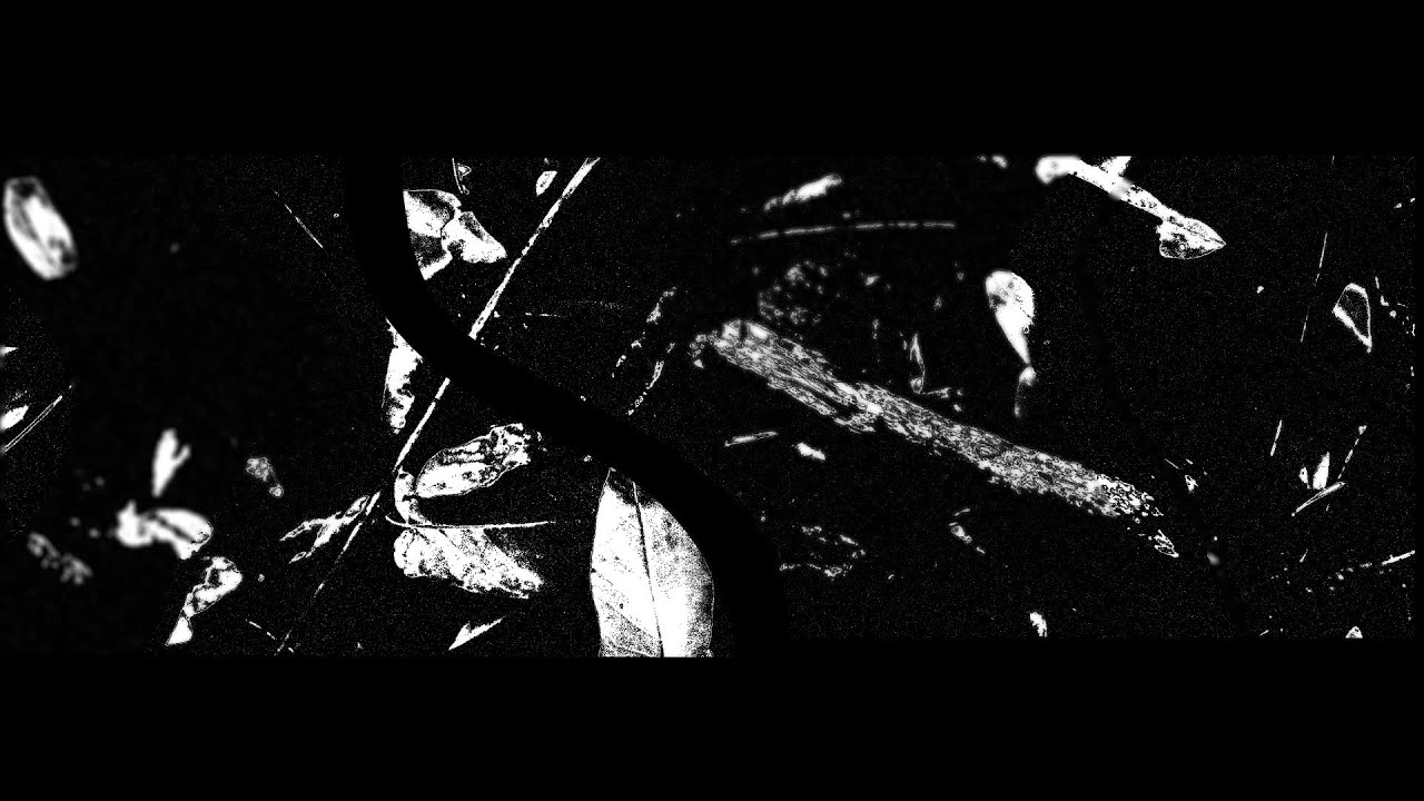 Free Vj Loop 27