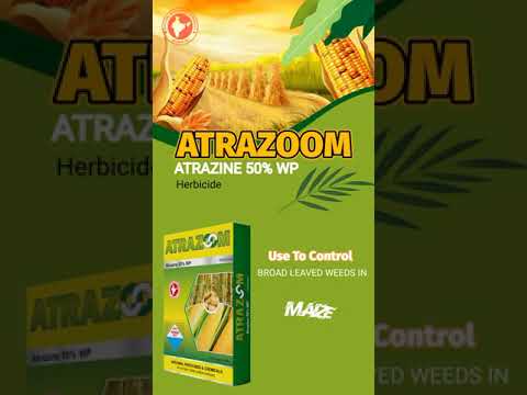 ATRAZOOM - Atrazine 50% WP (Herbicide)