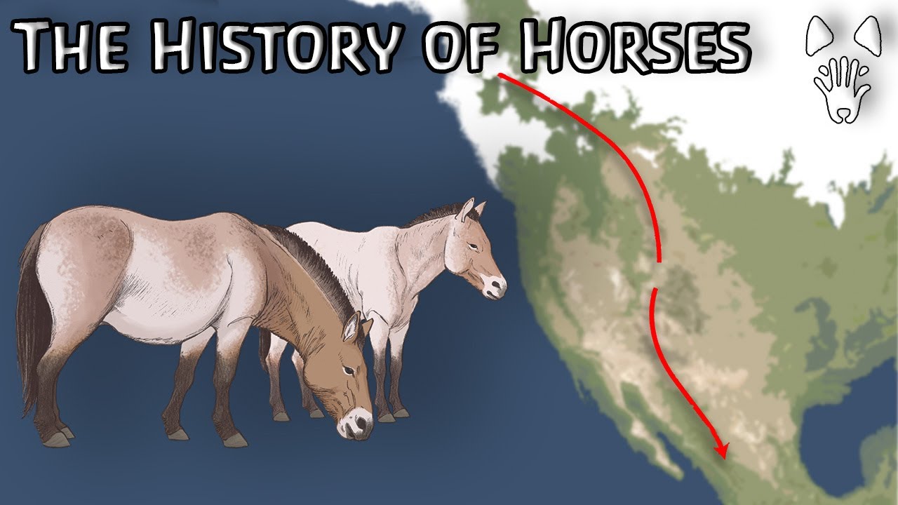 The Domestication and Early History of the Horse | Evolution, Archaeology, and the Americas