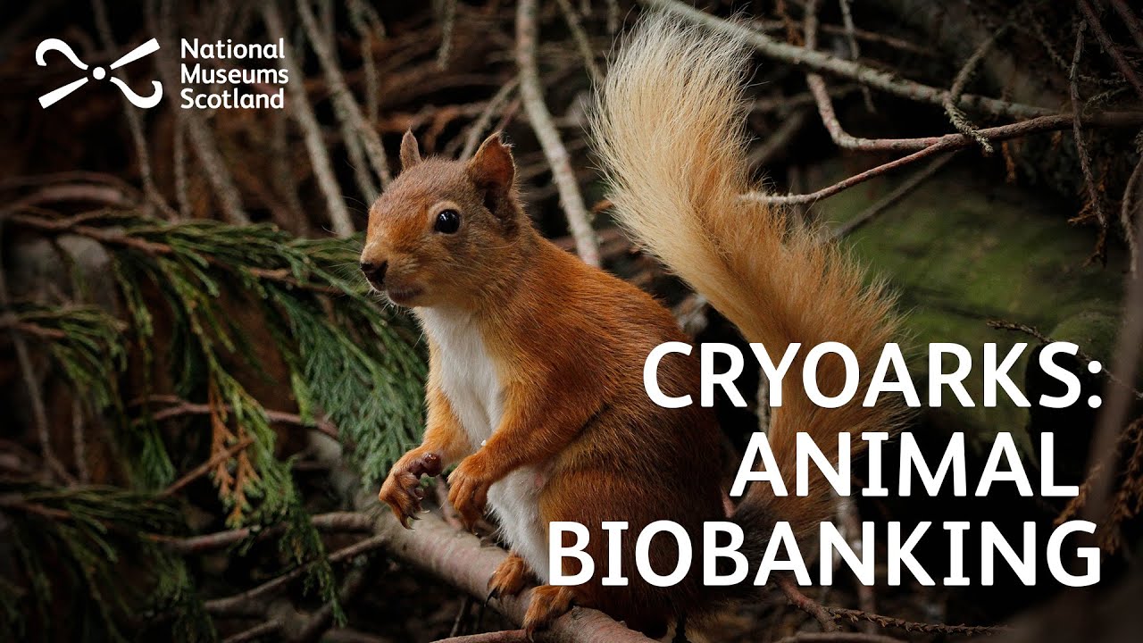 CryoArks: Animal biobanking for research and conservation, 7 July 2021