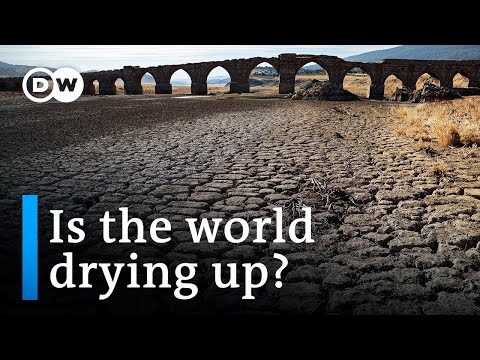 UN holds conference on global water scarcity | DW News