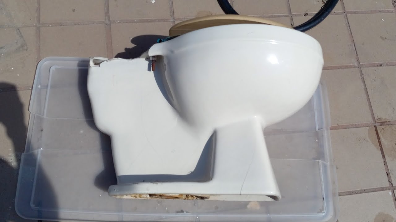 1988 Vitromex Toilet Dissection