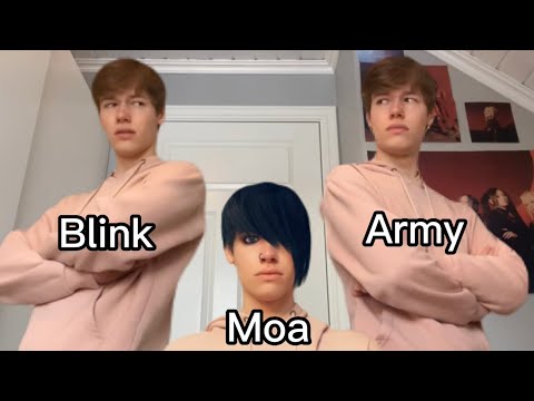 Kpop fandoms be like: