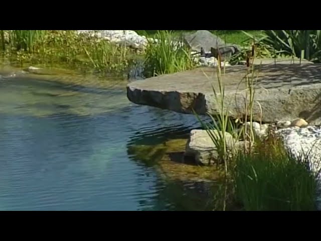 Home - Natural Swimming Pool