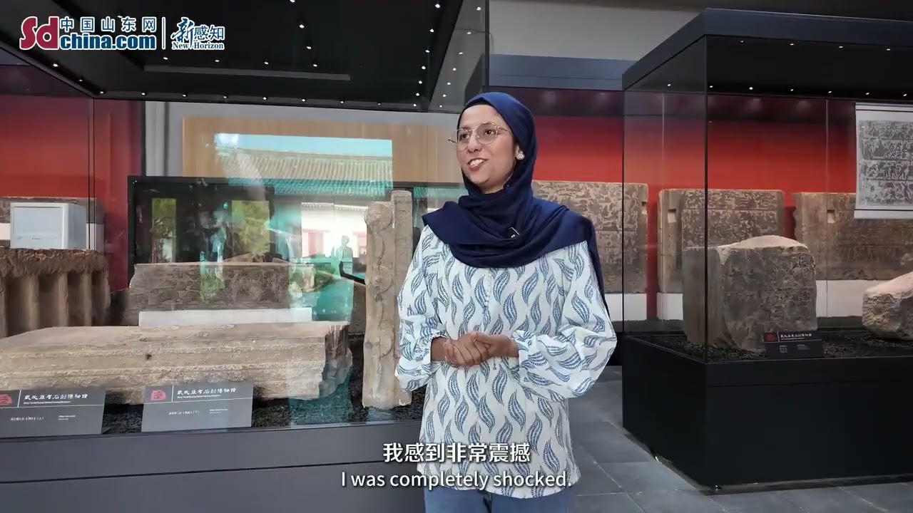 Pakistani Students experience charm of Han Dynasty stone reliefs in Jining