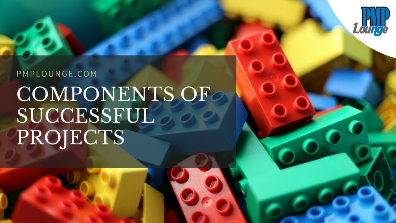 Components of Successful Projects