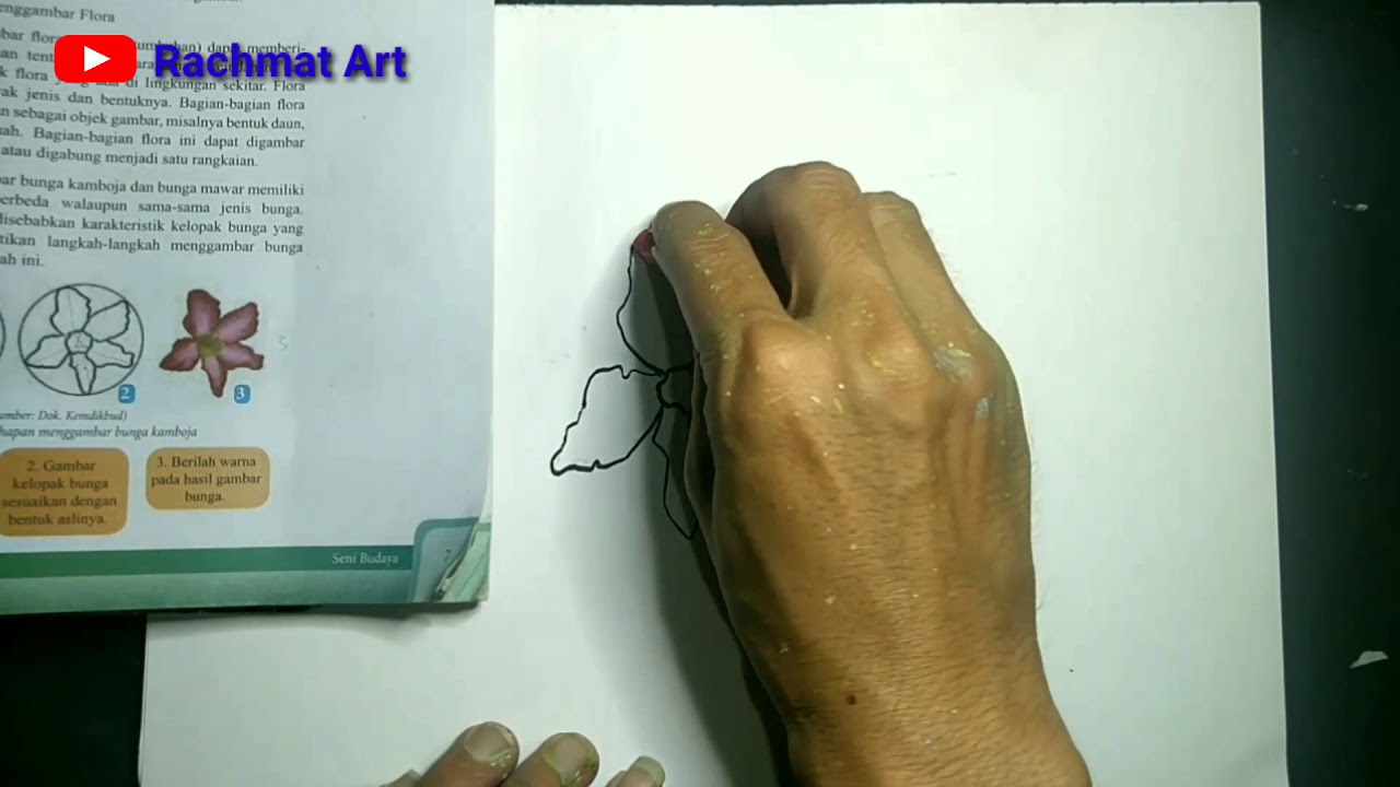 Tutorial menggambar bunga kamboja, untuk para pemula