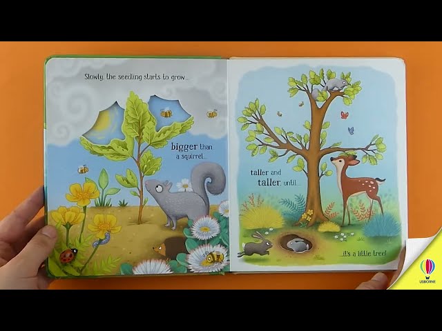 One Little Tree | Usborne | Be Curious