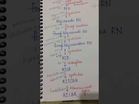 De novo synthesis of Purine nucleotides...