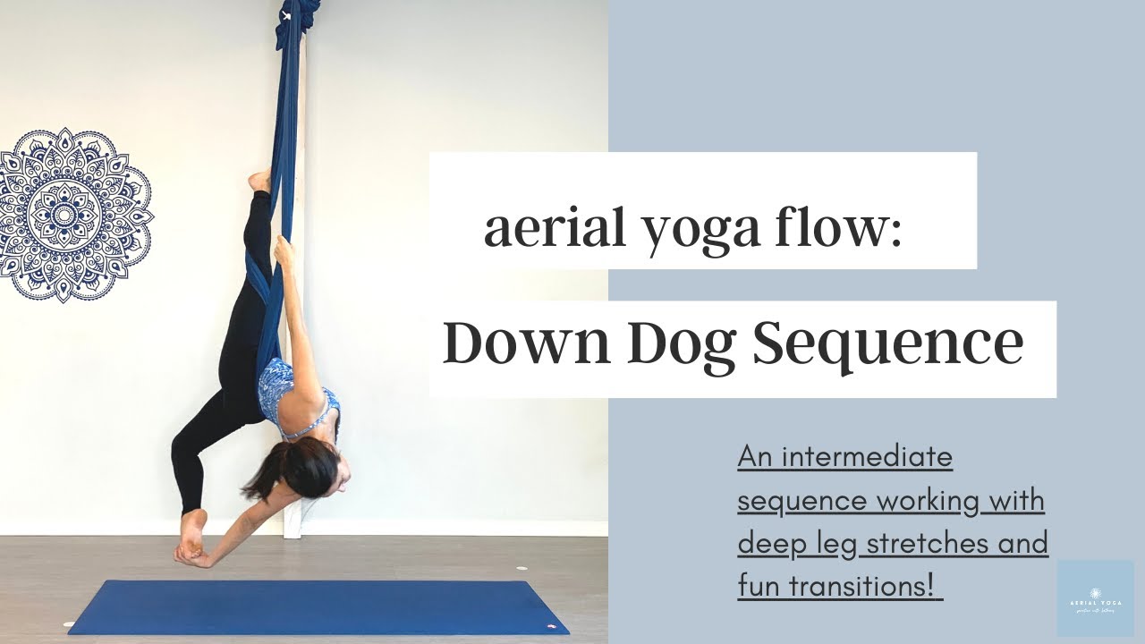 Intermediate Aerial Yoga Sequence - Downdog Flow